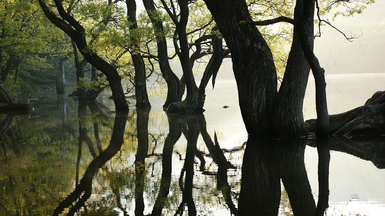 Reflect, revise, and refresh after your first grading period - Lepre's ...